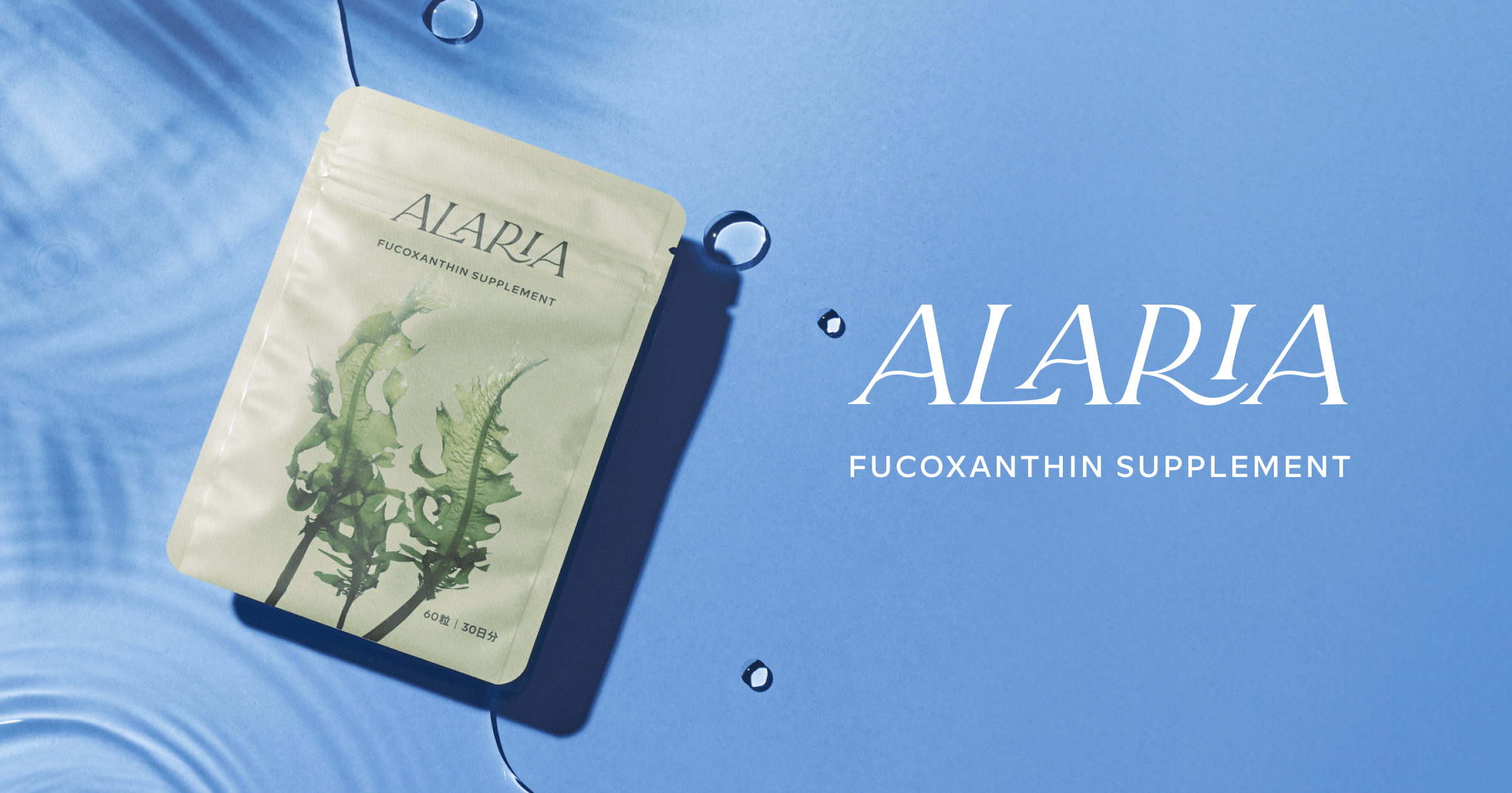 商品紹介 - ALARIA（アラリア）ALARIA（アラリア）